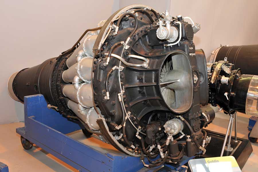 Spider Crabs, Vampires and Goblins