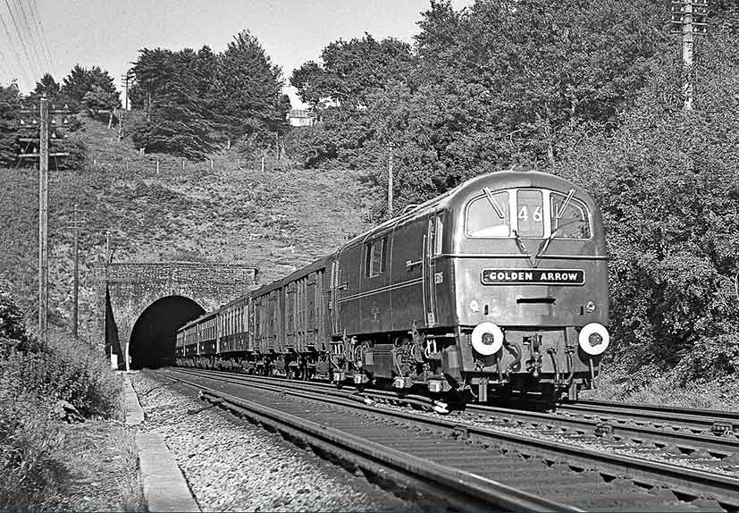 The Class 71 - the story so far